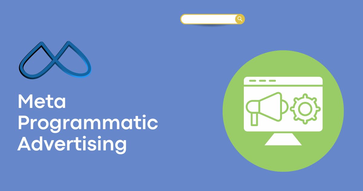 Meta Programmatic Advertising: Complete Guide